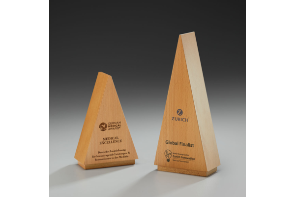 Timber Pyramid Award